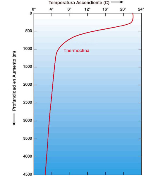 Temperatura Del Agua Del Mar